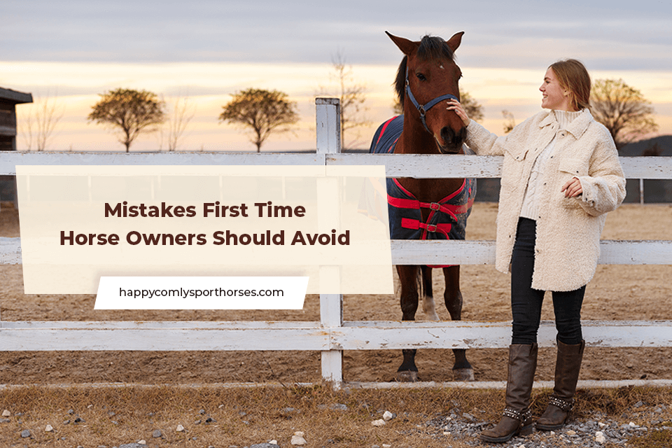 Mistakes First Time Horse Owners Should Avoid - Stassy Hiller - Medium