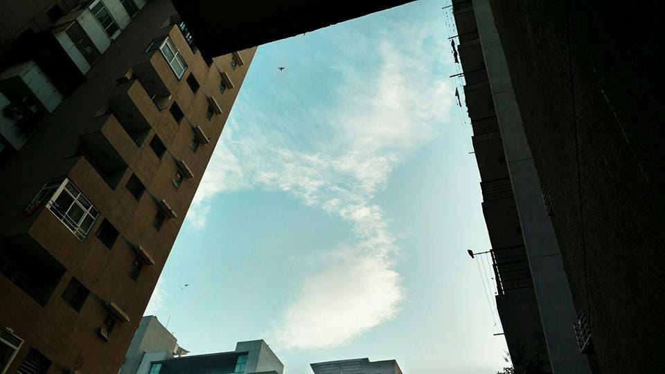 Piece of sky. In our concrete jungles everybody gets… | by Rupa Abdi | Medium