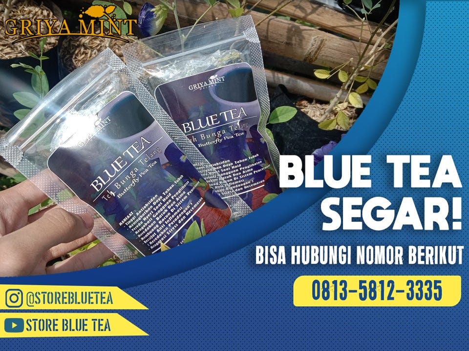ASLI, WA 0813–5812–3335, Tumbuhan Bunga Telang Blue Tea Malang ...