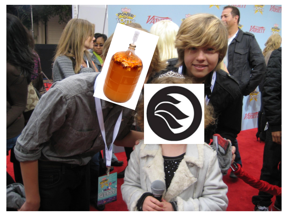Local Recaps: You Can Now Buy Dylan Sprouse’s Mead | by Izzie Ramirez ...