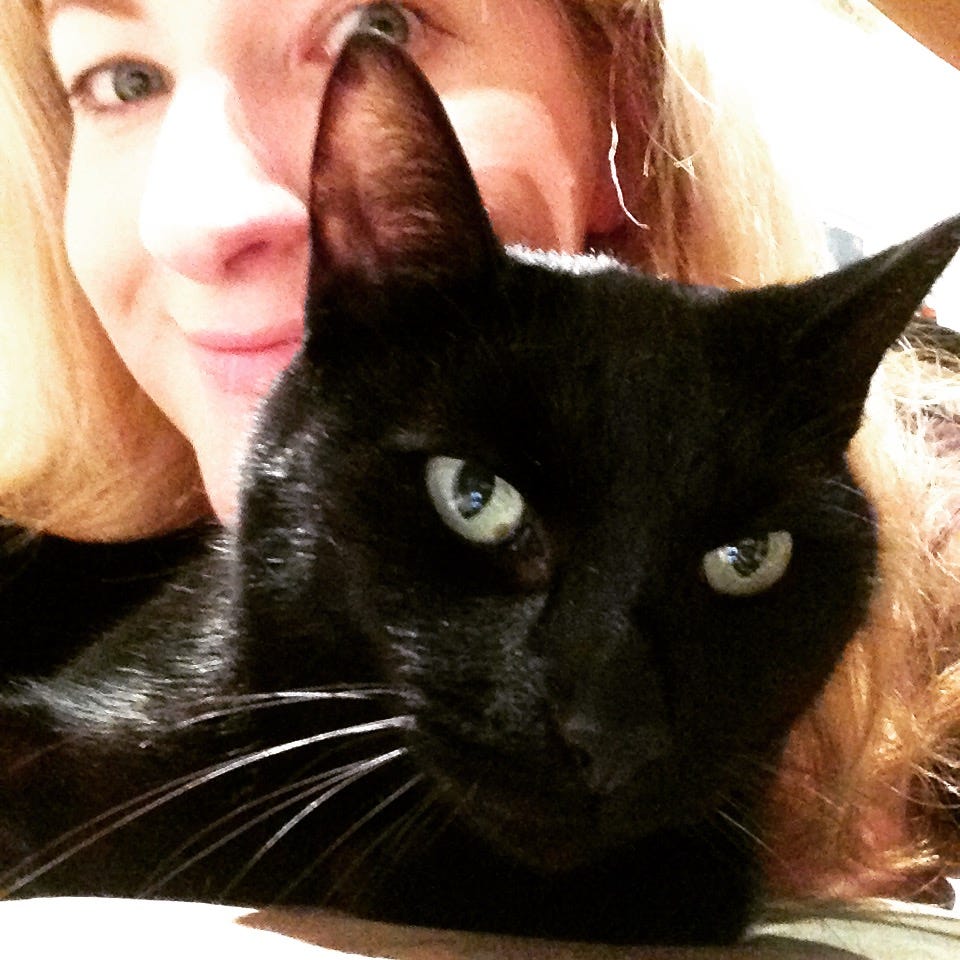 Cat & I: Emma & her 3 feline friends | by Feliway | Chilled Cat | Medium