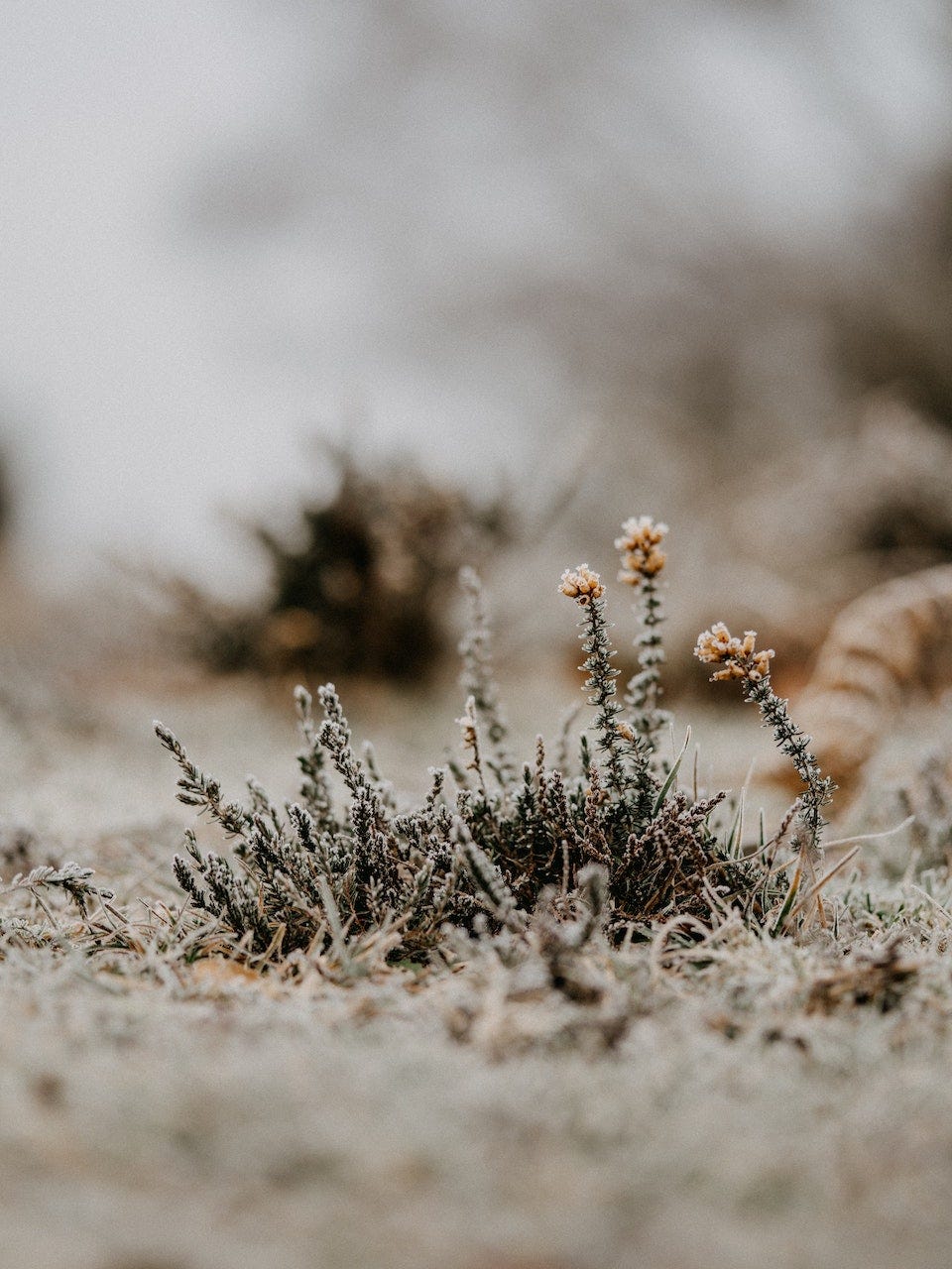 Do you want to restore your life force energy? | by Kihyon Sohn | Medium