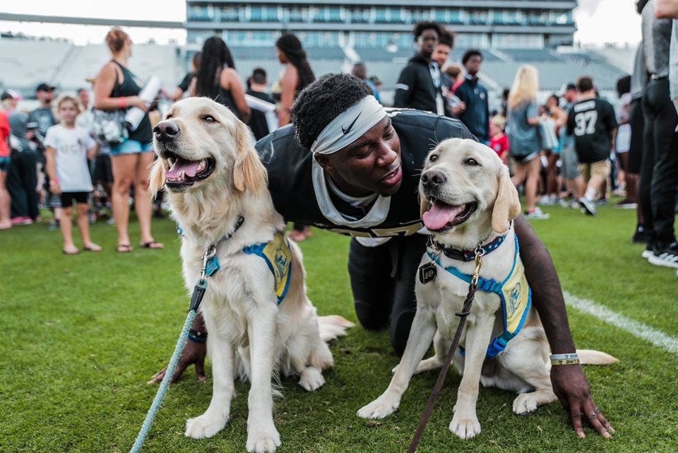 Common Misconceptions about Service Animals | by Elizabeth Smith | Medium