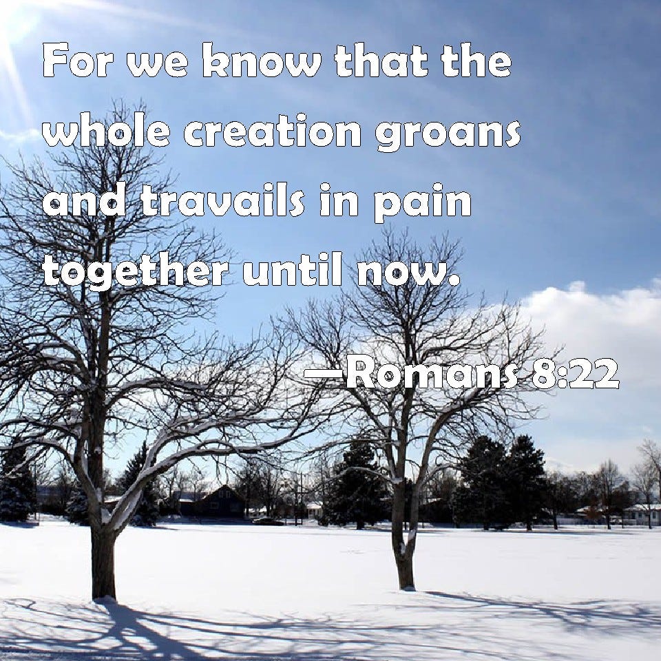 All creation keeps on groaning together and being in pain together ...