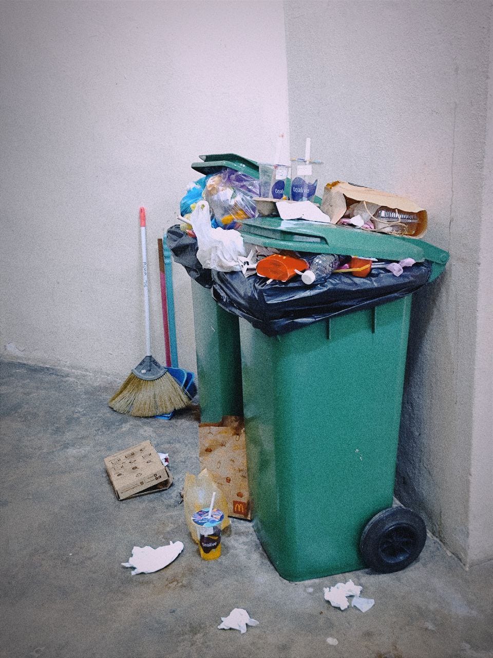 Unmanageable Dump: What Students Can Do to Conserve The Trash Resources ...