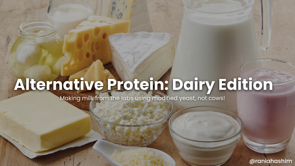 A 5-Step Guide To Making Milk In The Labs. | by Rania Hashim | Nerd For ...