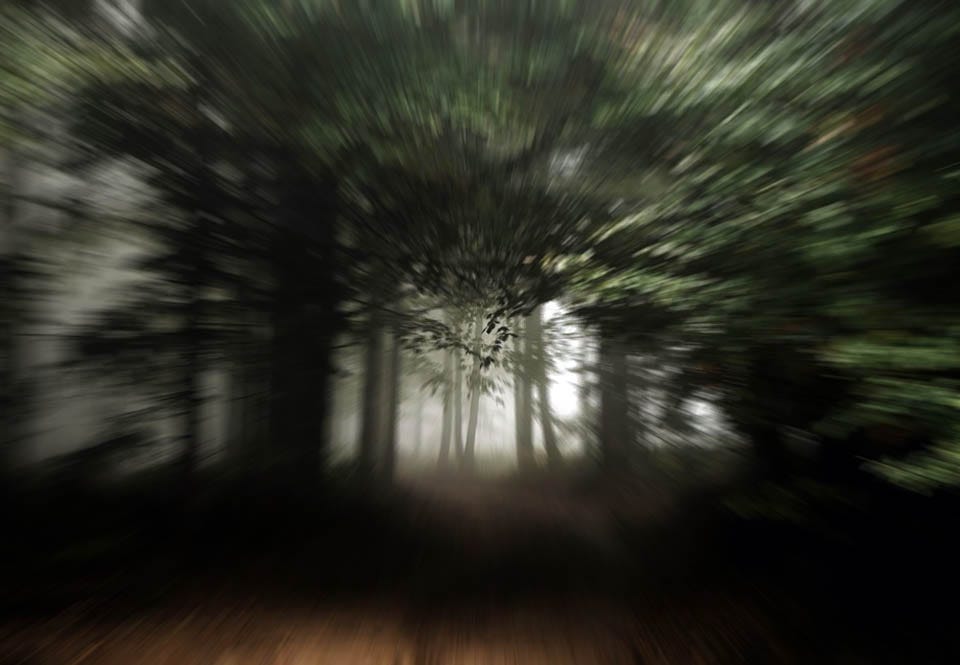 Caminos y abismos. Vas a llorar y no entender nada, vas a… | by hugo ocampo | reflexiones-del ...