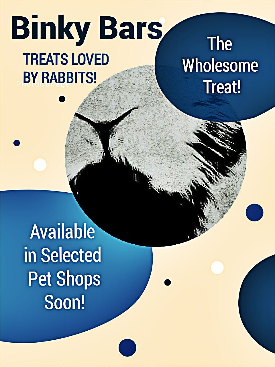 #shop_local #small_retailers #binkybars #pet_shops #rabbit #treats # ...