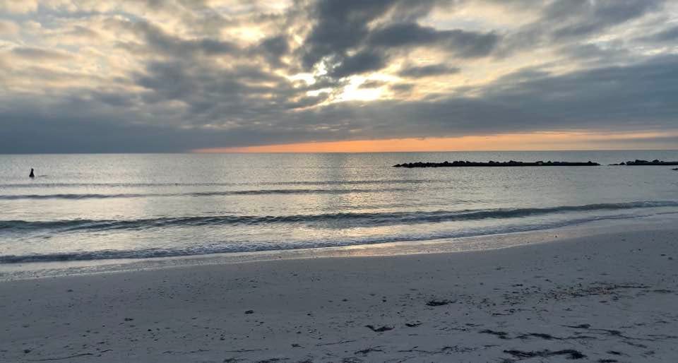 Scenic Routes: 🌴 Best E-Bike Trails in Dunedin, Florida 🚴‍♂️ | by ...