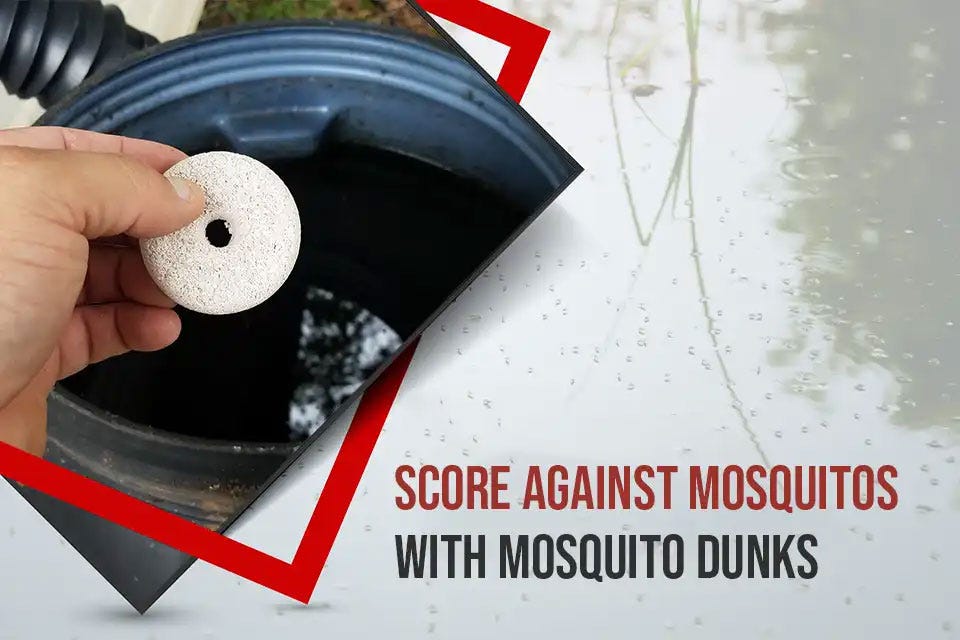 Score Against Mosquitos with Mosquito Dunks | by Doctor Pest | Medium