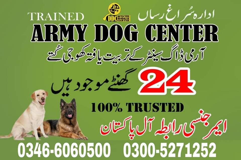 Army Dog Center Pakistan 03005271252 - Army Dog Center - Medium