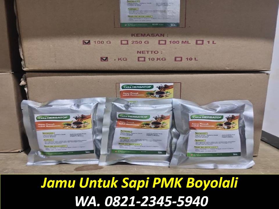 BEST PRODUK, CALL/WA 0821–2345–5940, Obat Ternak Sapi PMK Boyolali ...