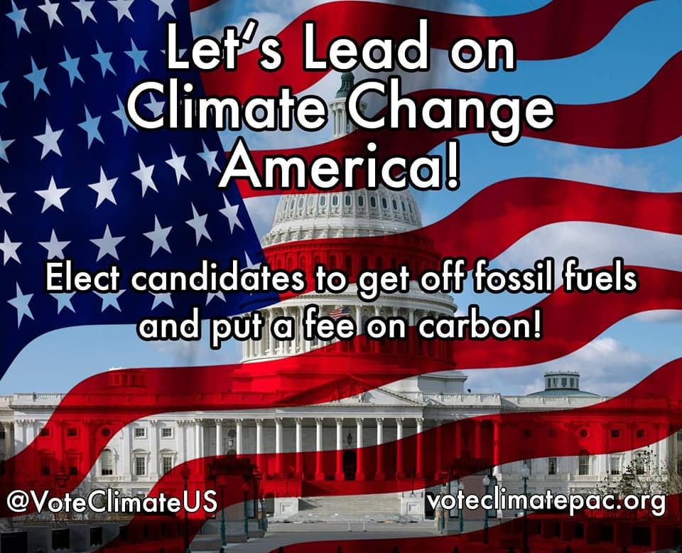 2022 National Climate Change Voter’s Guide is READY!! | by Karyn ...