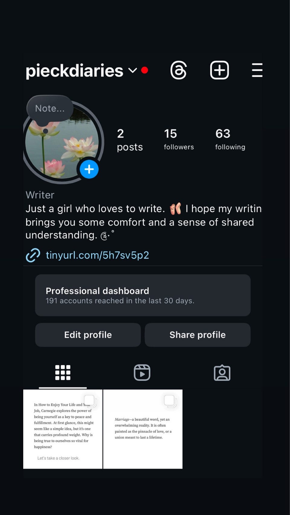 i made an official ig acc for my writing entries. let’s be friends ...