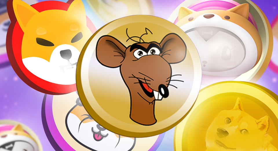 Rizzo The Rat | Memecoin Launch Highlights | by RIZZO | Medium