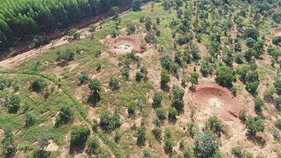 Regenerative systems for a possible future? | by Rosana Rezende | Medium