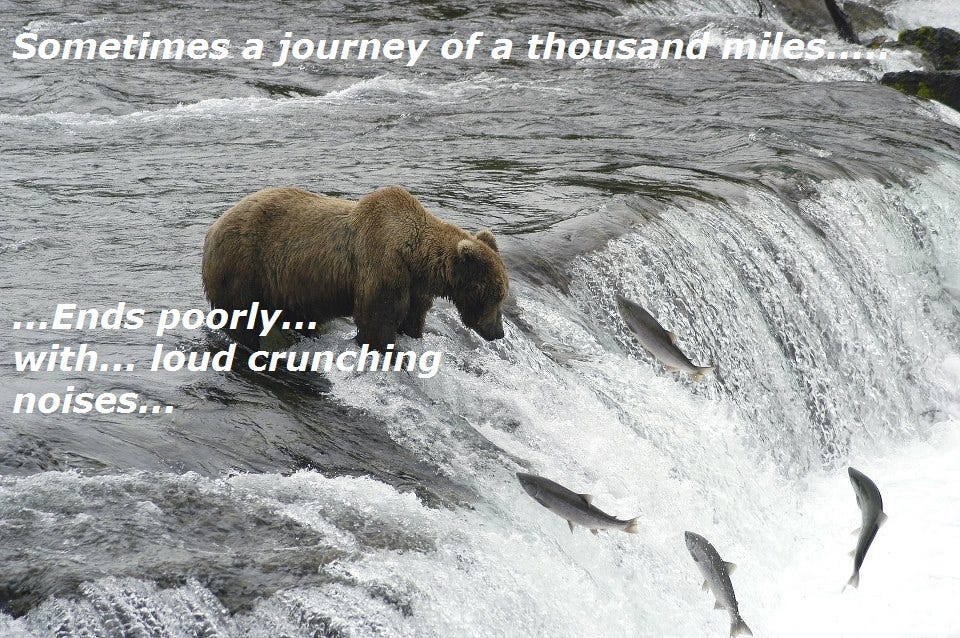 The ‘Just Do It’ fallacy. Sometimes ‘Look before you leap’ is… | by ...
