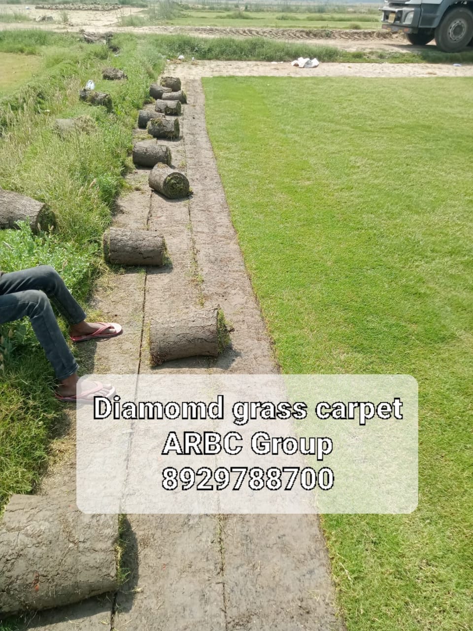 Diamond grass carpet supplier in Indore MP naturalgreengarden.com ...