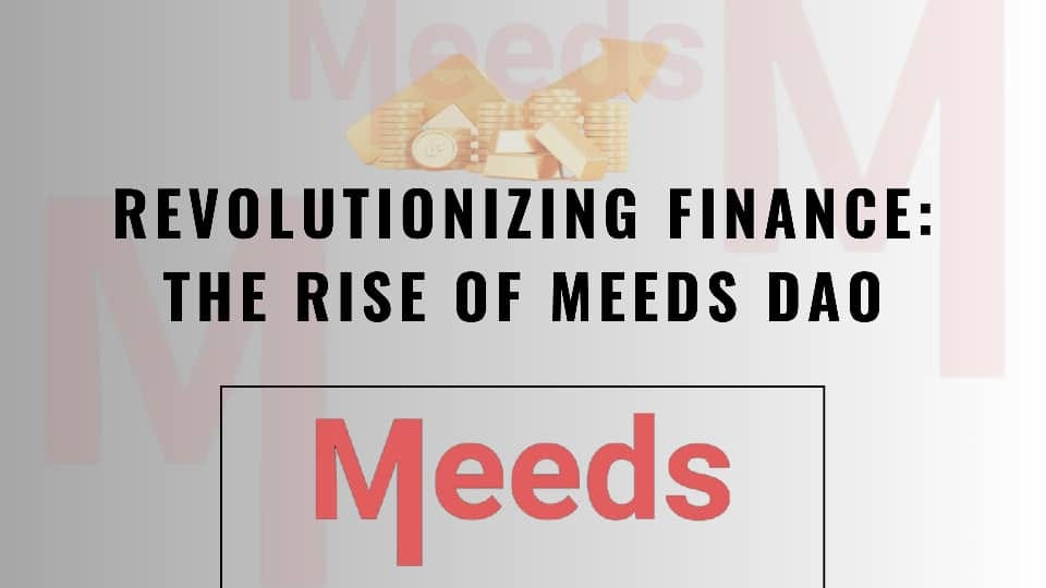 Revolutionizing Finance: The Rise of Meeds DAO | by Clintonpromise ...