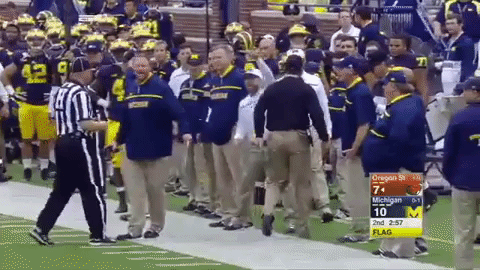 Angry Sports Fan Gif