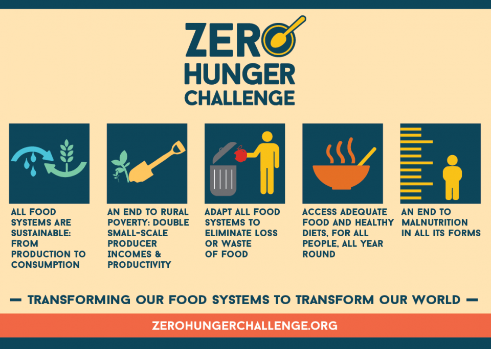 Design Challenge Reflection on End Hunger and Promote Sustainable ...