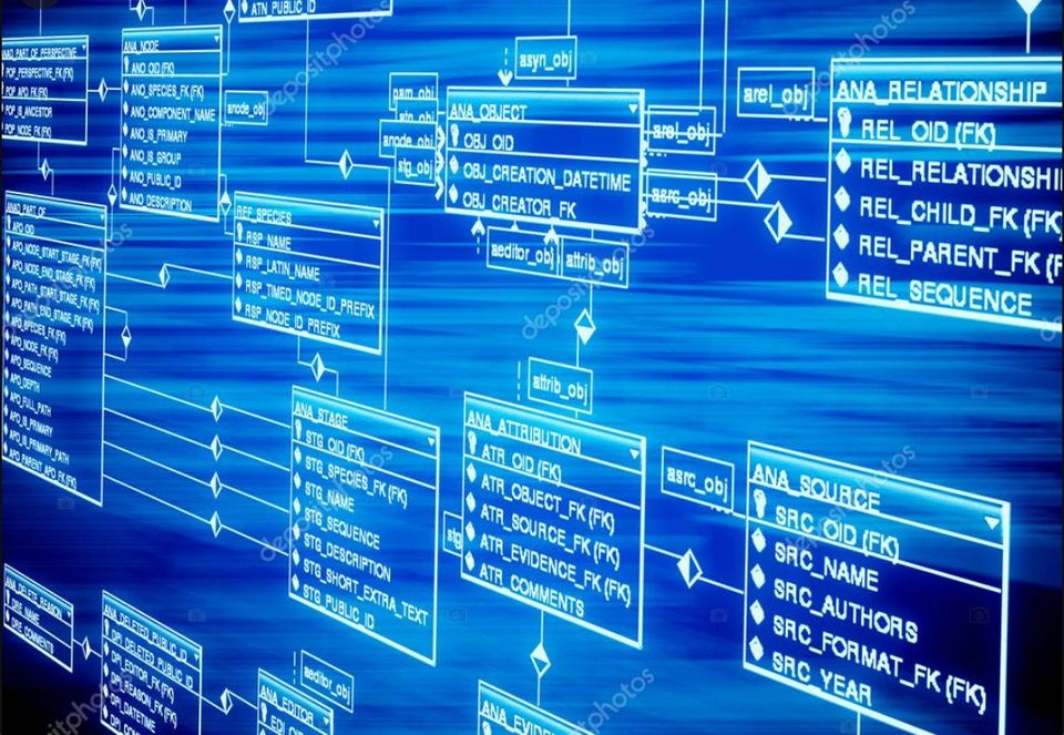 Plural vs. Singular: Great Debate in Database Table Naming | by M ...