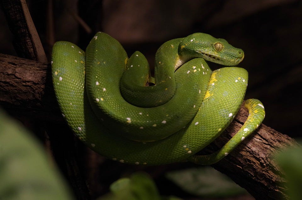 Exercise Python Bersama MySkill. Pada artikel kali ini, saya akan… | by ...