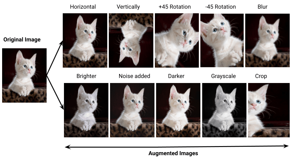 Step-by-Step Guide to Automated Data Augmentation for Beginners | by ... Step-by-Step Guide to Automated Data Augmentation for Beginners | by ...