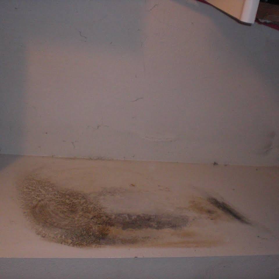 Dr Mold Removal Service - Drmoldremovalservice - Medium