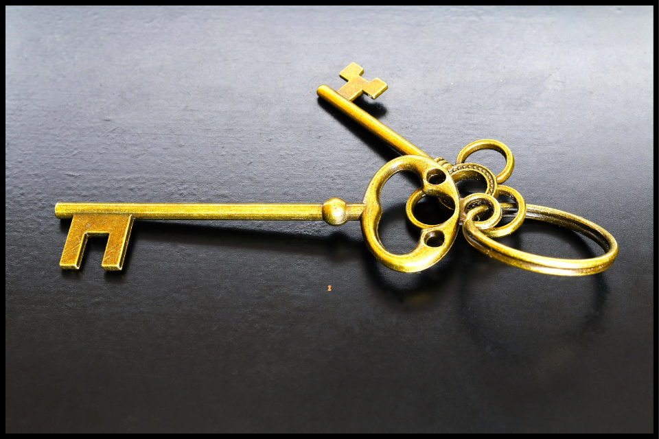 The Hidden Adventures of Your Keys: Where Do They Disappear? | by ...