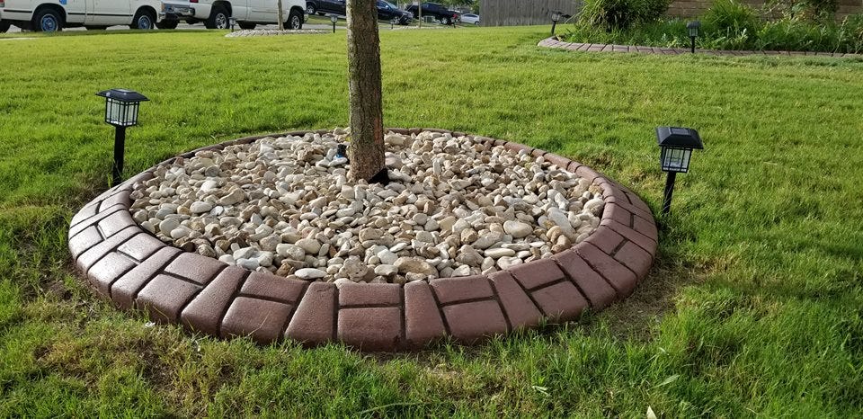 Cement Border For Trees