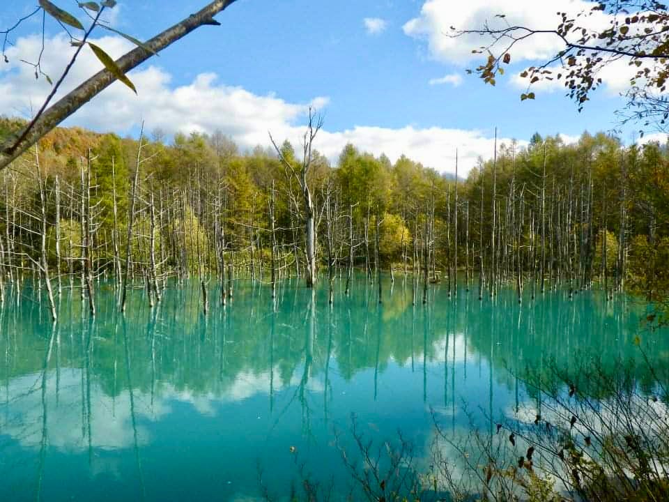 Blue Pond. Beautiful in every season | by KateElizabeth | Tanka Town ...