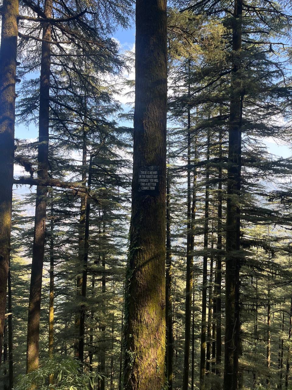 Disconnect To Reconnect. It’s funny how every post, every reel… | by ...