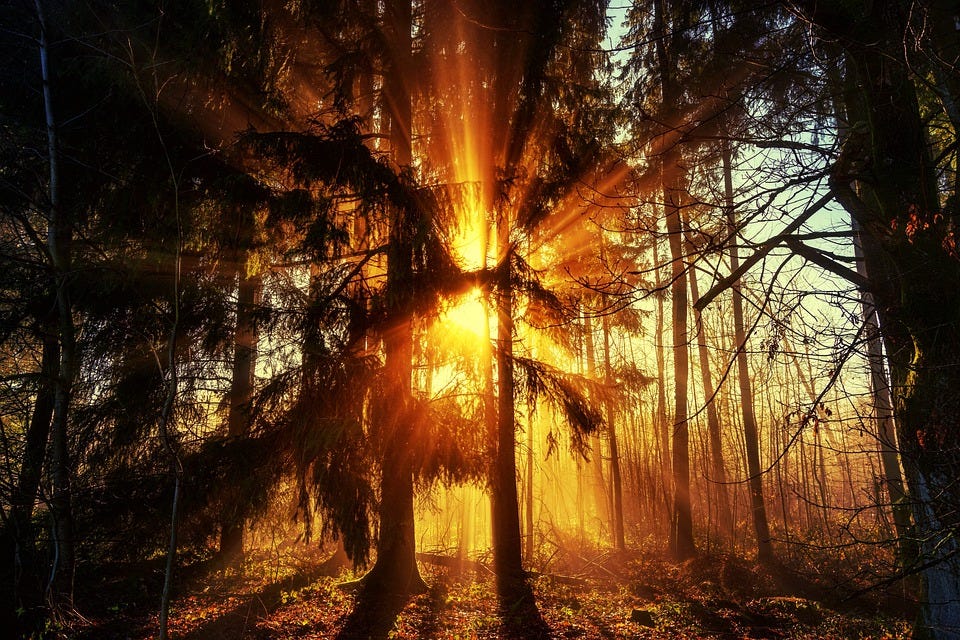 Weekly Win — Week 6. Happy Sunday!!! Hope you all had a… | by Kandice ...