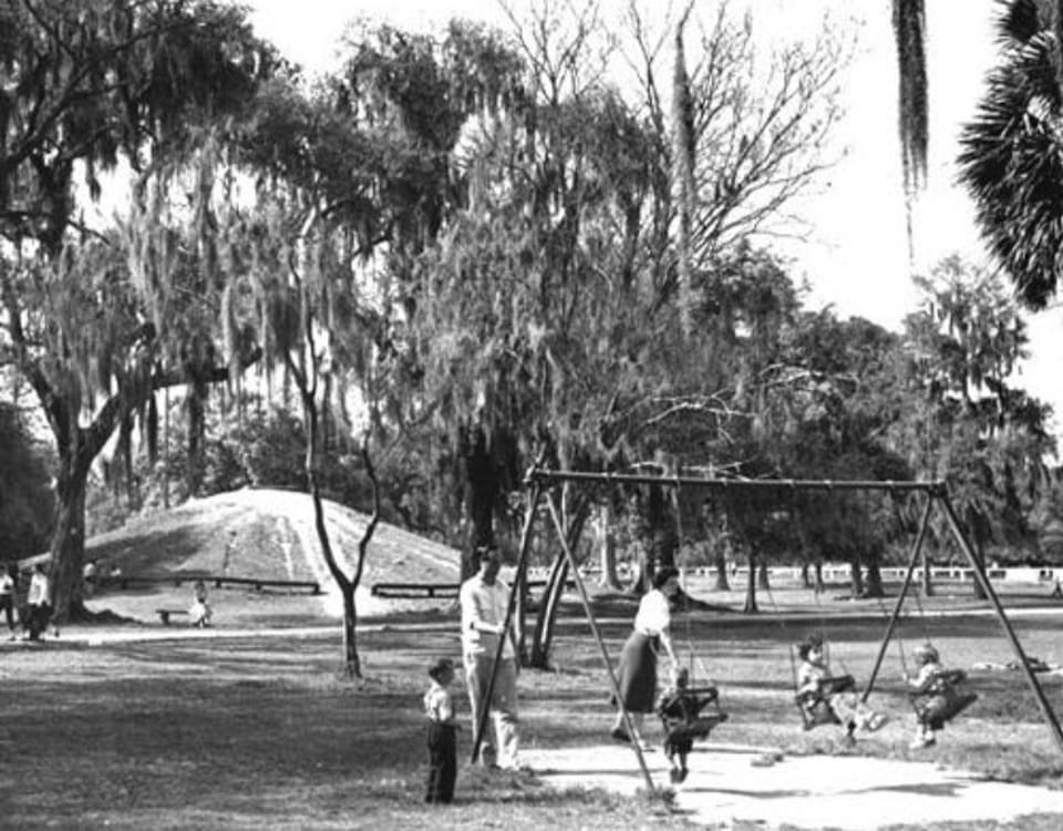 Our Monkey Hill. There once was a time… | by Jeffrey Pipes Guice | Medium