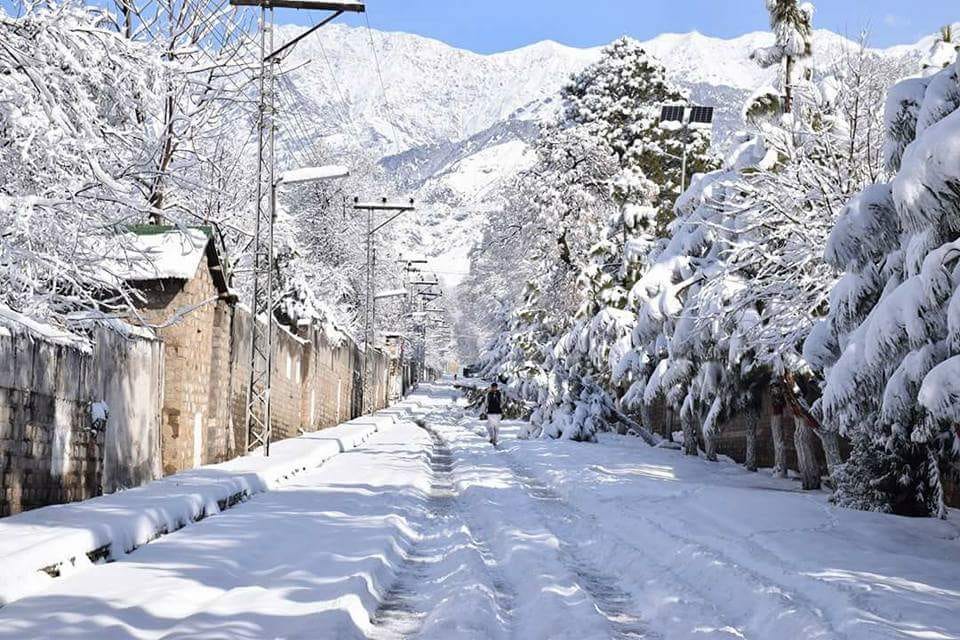 Parachinar Sectarian Violence: A Call for Unity and Healing | by Anees ...