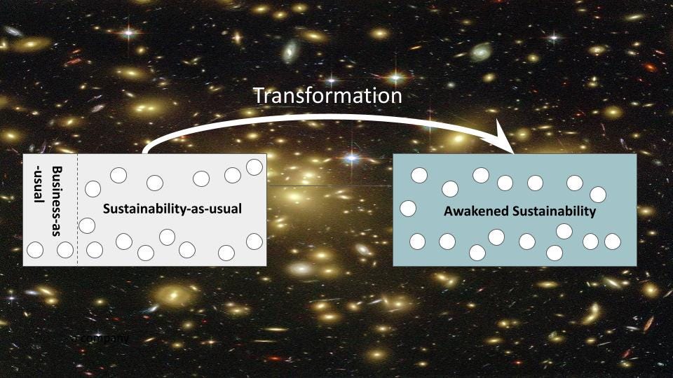 How to fix corporate sustainability? Start with dark matter | by Raz ...