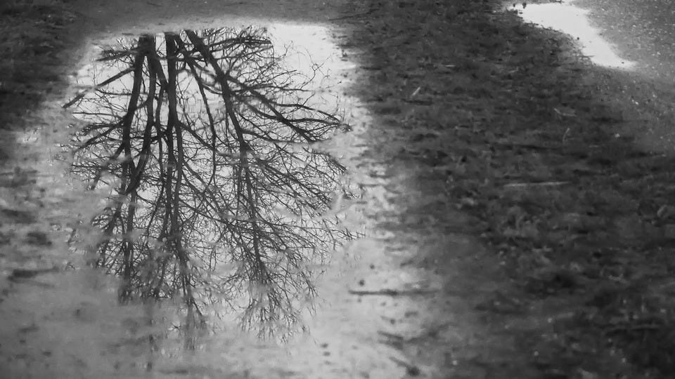 Pluviophile. “Pluviophile, so endearing and so… | by Eddie | Medium