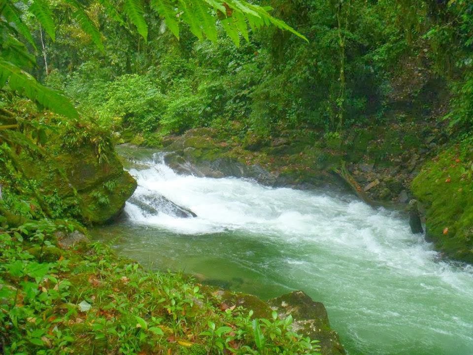 ECOTURISMO SOCOPO C.A. Vea a vivir la aventura en Venezuela… | by ...