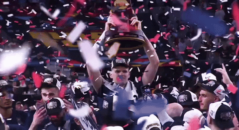 Celebrating Crowd Gif