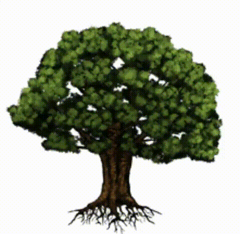 Animated Growing Tree Gif