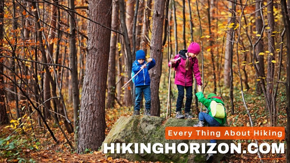 WHAT ARE SOME HIKING TIPS FOR KIDS? A FUN AND SAFE ADVENTURE IN NATURE ...