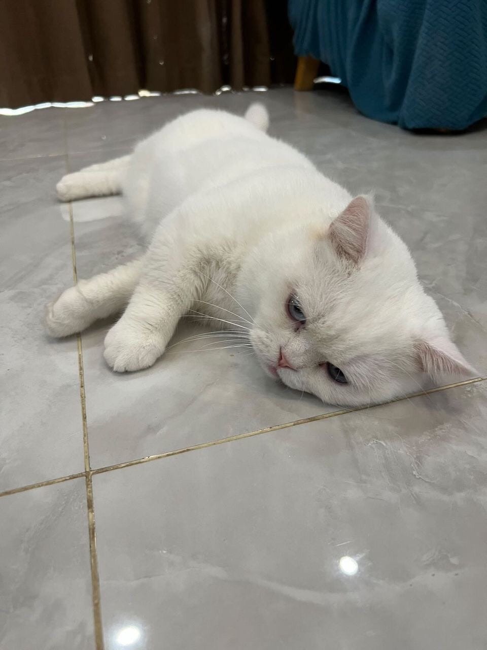 畫一道不著痕的光. 對於禪修的初學者來說，他們的心是很珍貴的。… | by Jannes | Medium