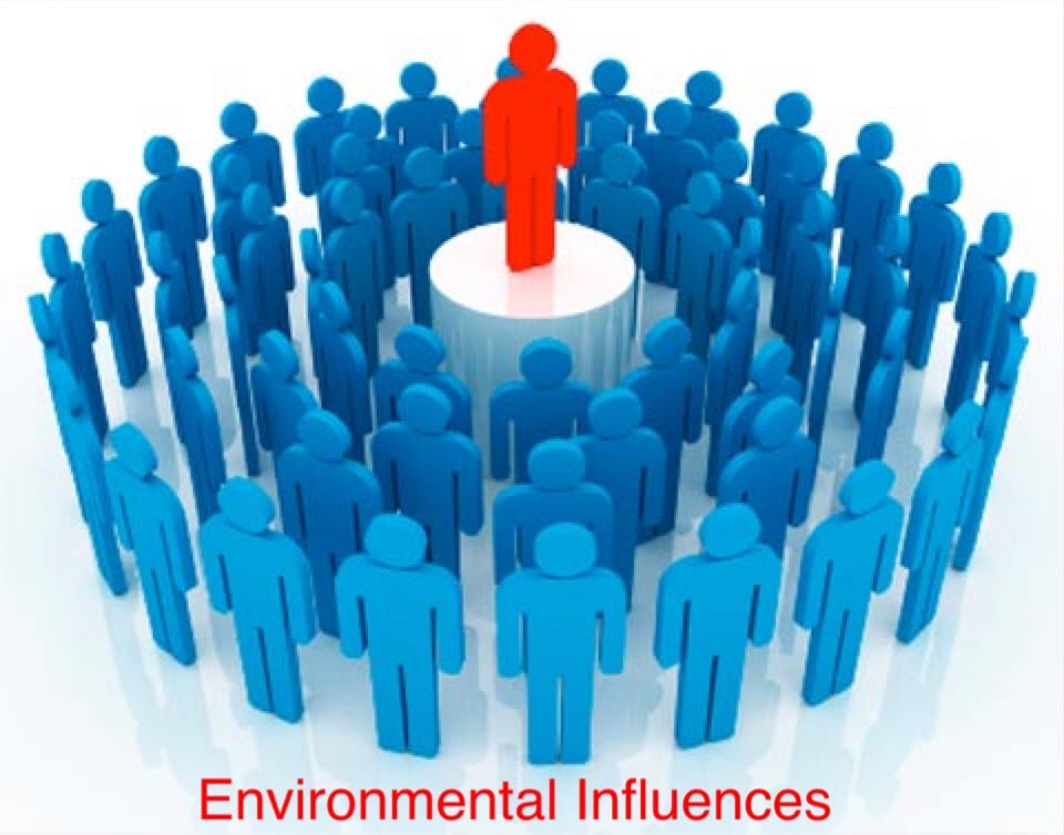 Environmental Influences…. Environmental Influences… | by Paul Simos ...
