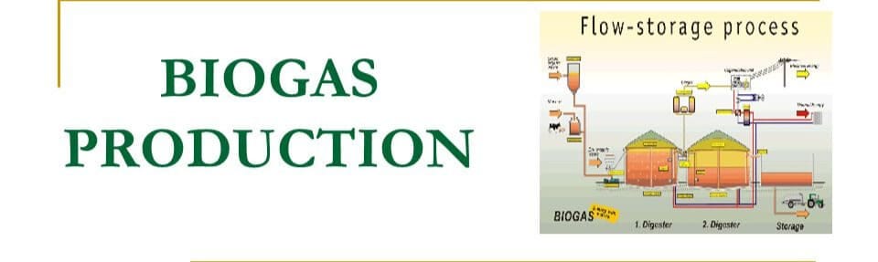 What is the Process of Biogas?. Introduction Of- What is the Process of ...