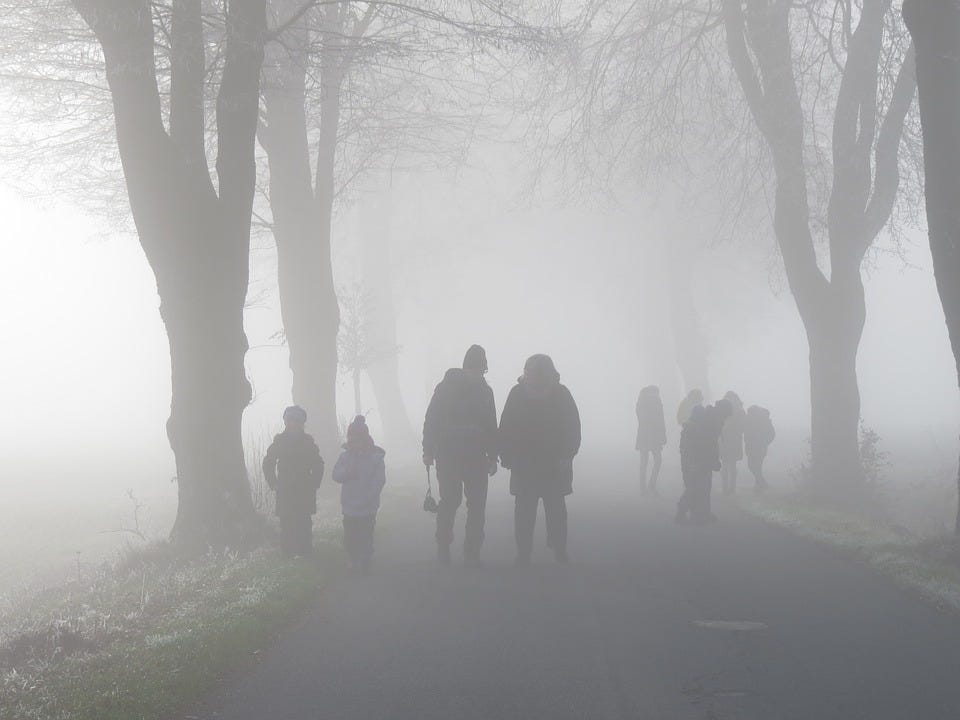 [Wk24] Fog. Catryn had her first dose of amnesite… | by Classical Sass ...