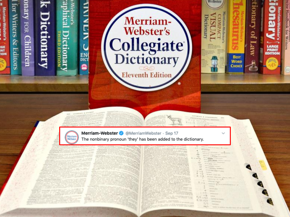 A Brief Note To Professors Who Hate The Singular “They” | by Ella ...