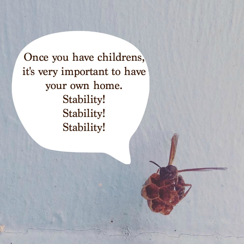 stability, says mamma wasp | by Cissa Borges | Medium