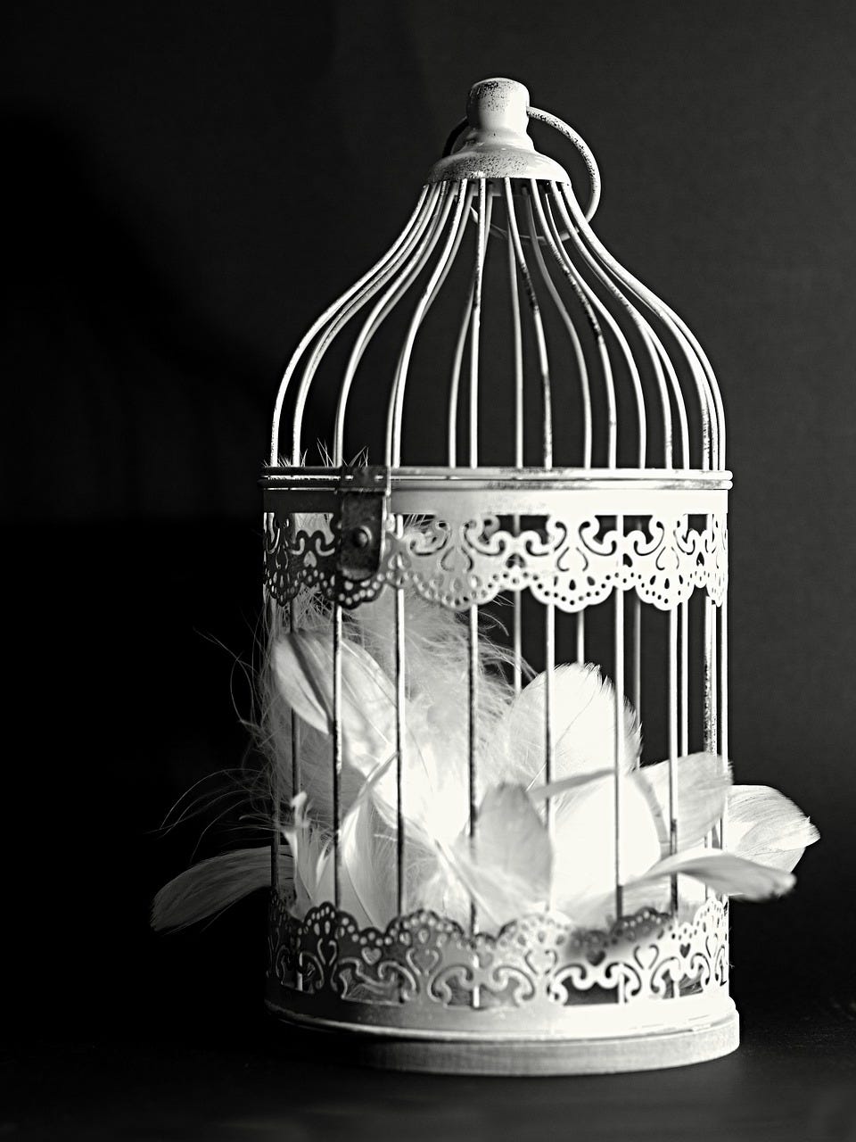 Caged. Little bird, get in the cage, | by Poetic Priestess | Medium