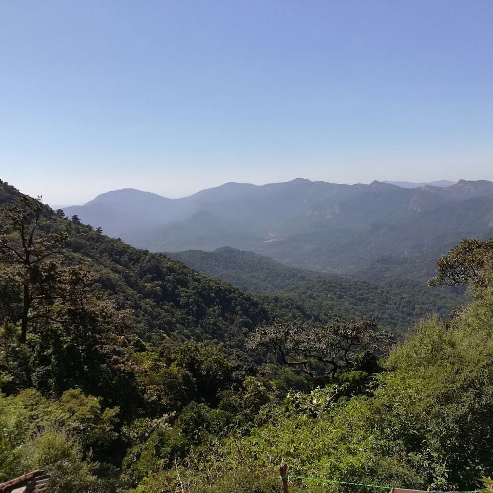 First Trek: Ultimate Experience. Trek To Kodachadri: Western Ghats | by ...